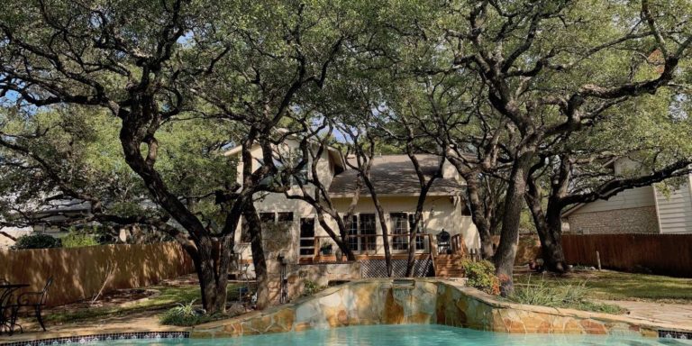 Pro Tree Service in Austin & Central TX | A Good Morning Tree Service