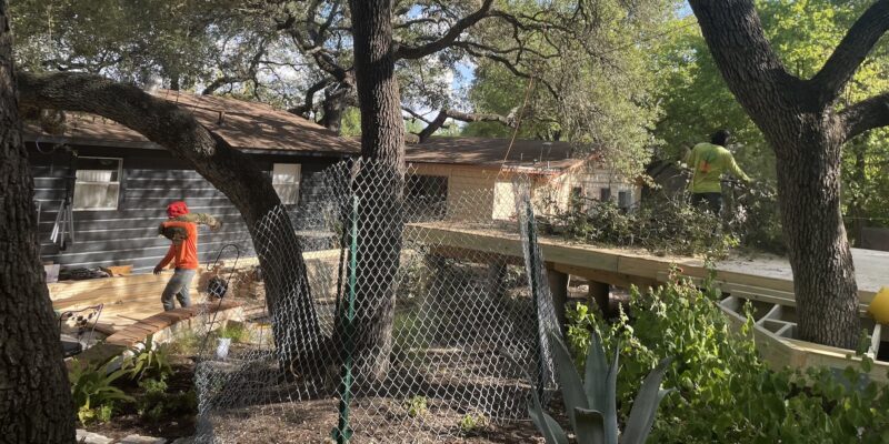 Pro Tree Service in Central TX | A Good Morning Tree Service